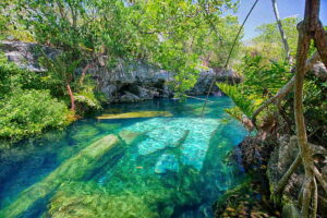 Cenotes of Mexico: Guide to all Cenotes 🇲🇽