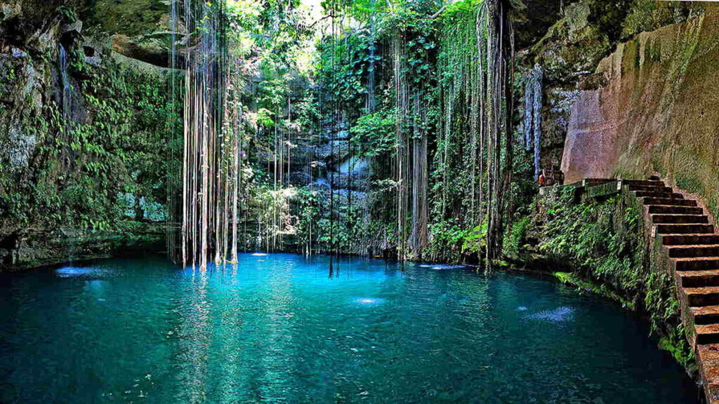 Los Cenotes de México: Guía de todos los Cenotes 🇲🇽