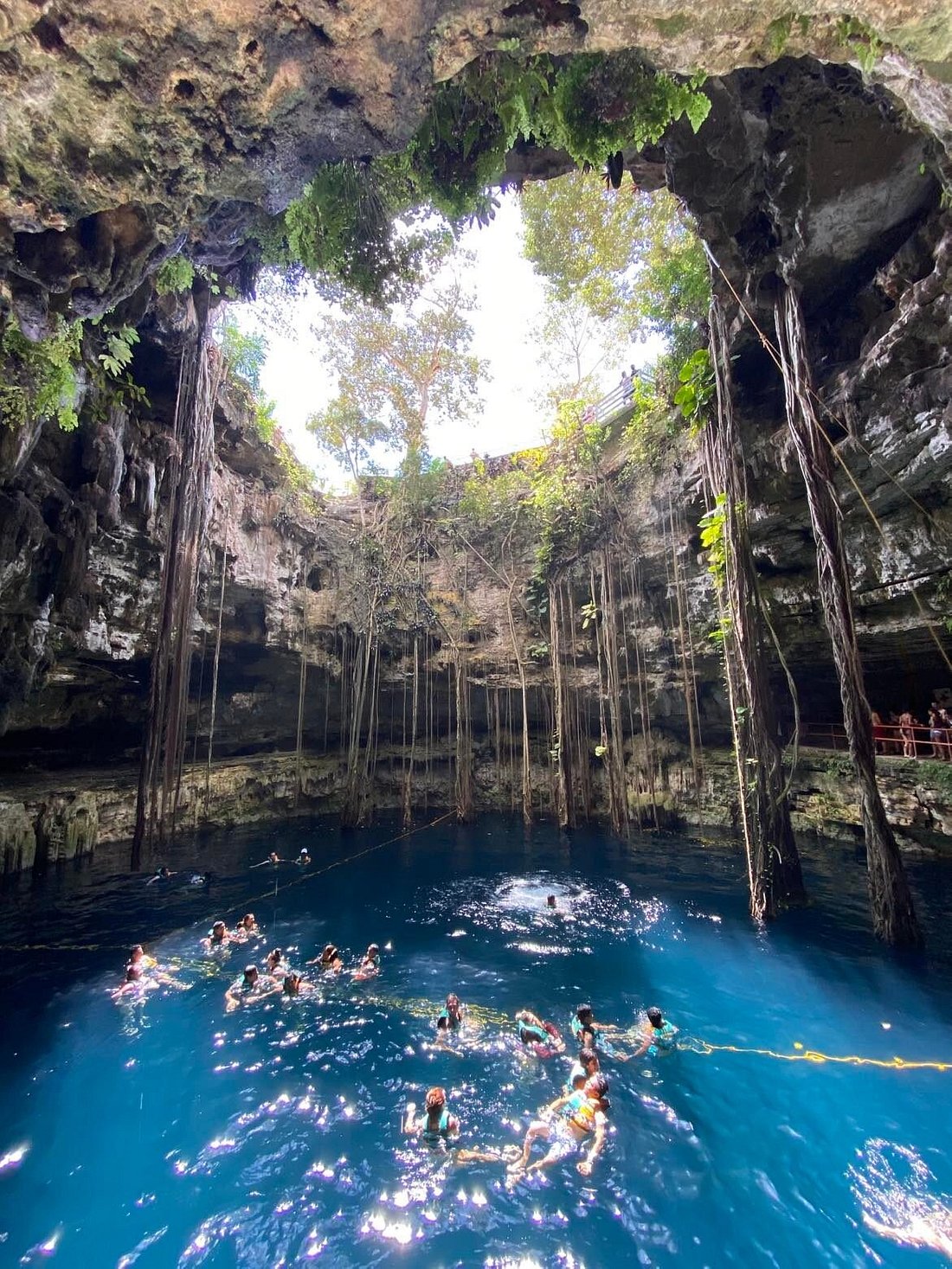 Cenote Oxman: Discover the Underground Charm of Yucatán 🌿